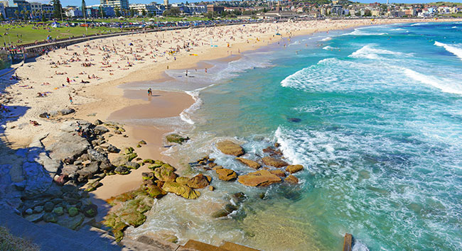 Bondi | Secure Wolf LockSmiths